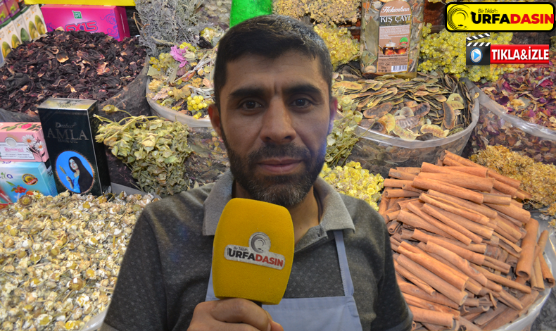 Kış Aylarının Şifa kaynaklarının Fiyatları Gram Altınla Yarışıyor ...