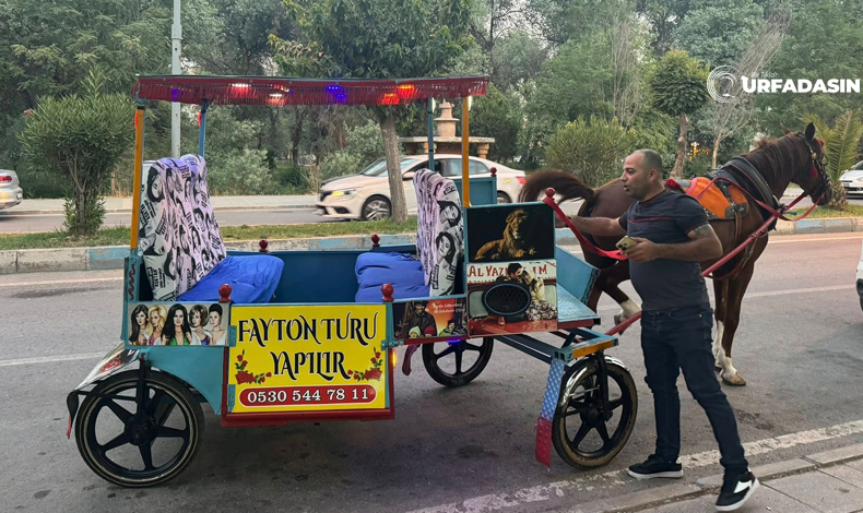 Urfa'da 70'li Yılların Gözdesi Fayton Geri Döndü - Urfadasın.com Şanlıurfa'nın En Güncel Haber ...